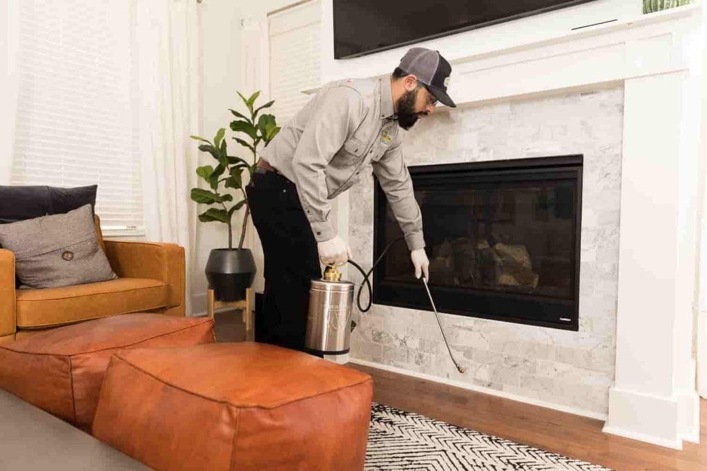 8 Tips For A Roach-Free Home | Houston Roach & Pest Control