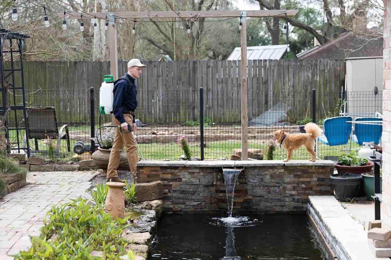 5 Most Common Types Of Roaches In Houston | Roach Pest Control Near Me