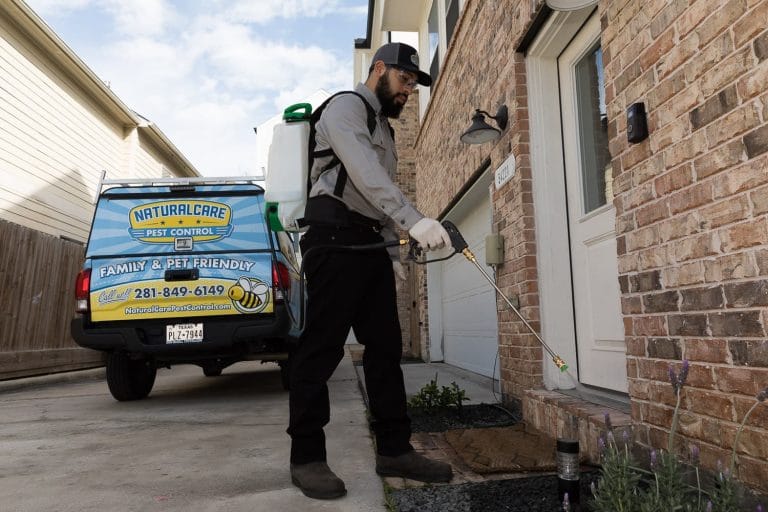 Best Spider Spray Safe for Pets - Naturalcare Pest Control